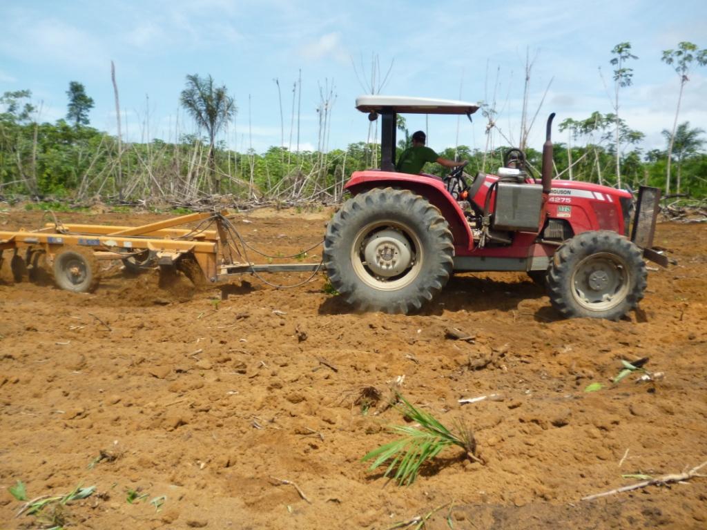 Projeto Fundo Amazônia beneficia famílias rurais de Vila Extrema/Sul de ...