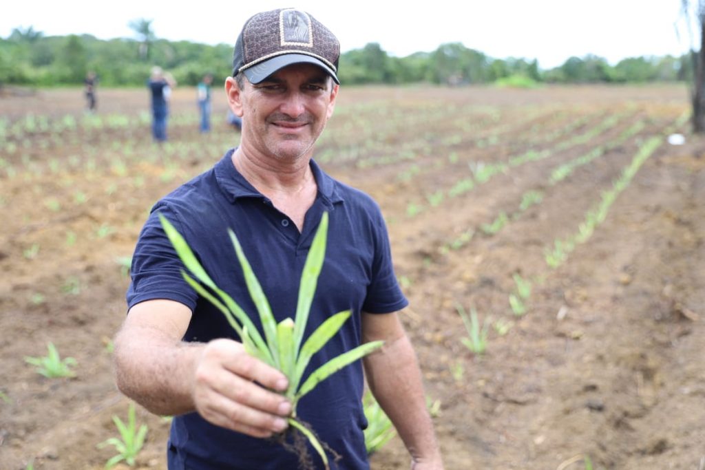Projeto-piloto Curauá: Idam será o responsável pela extensão rural ...